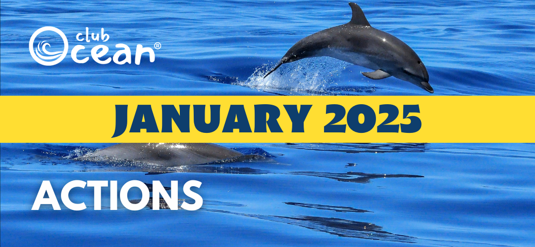 JANUARI 2025 - ClubOcean® Acties