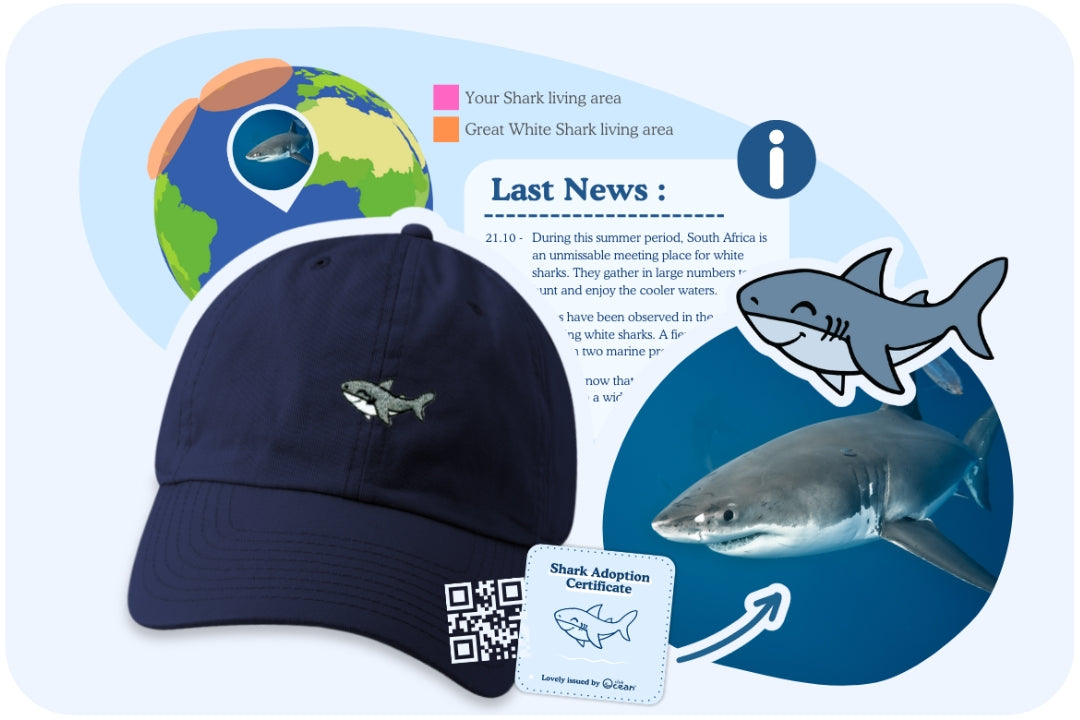 Shark Mission Cap – ClubOcean