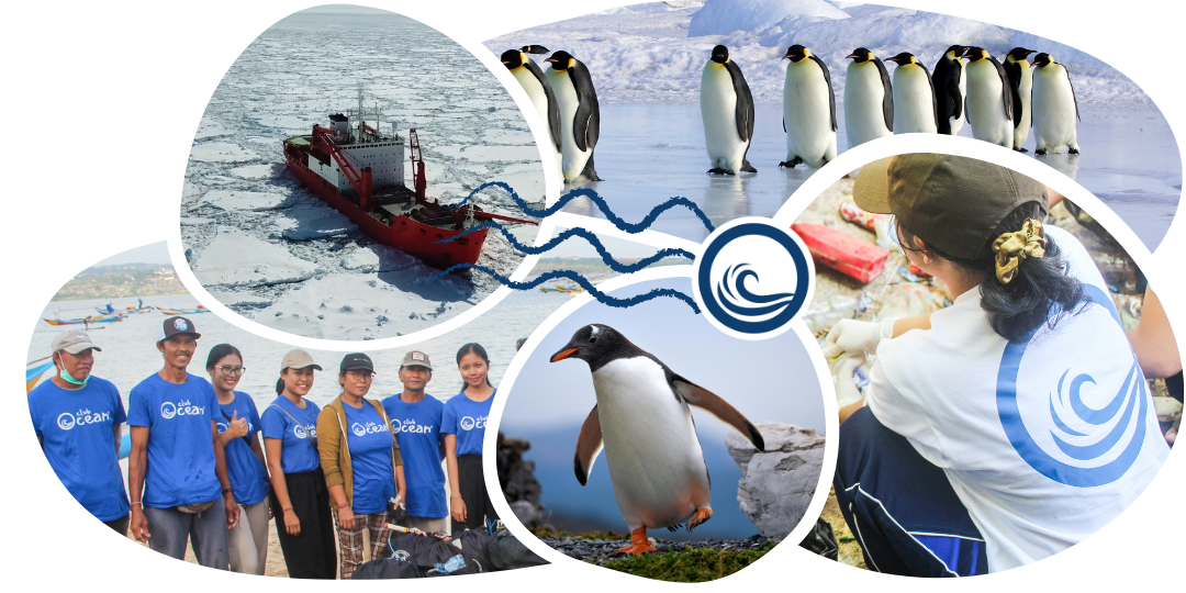 Penguin Tracking Bracelet – ClubOcean