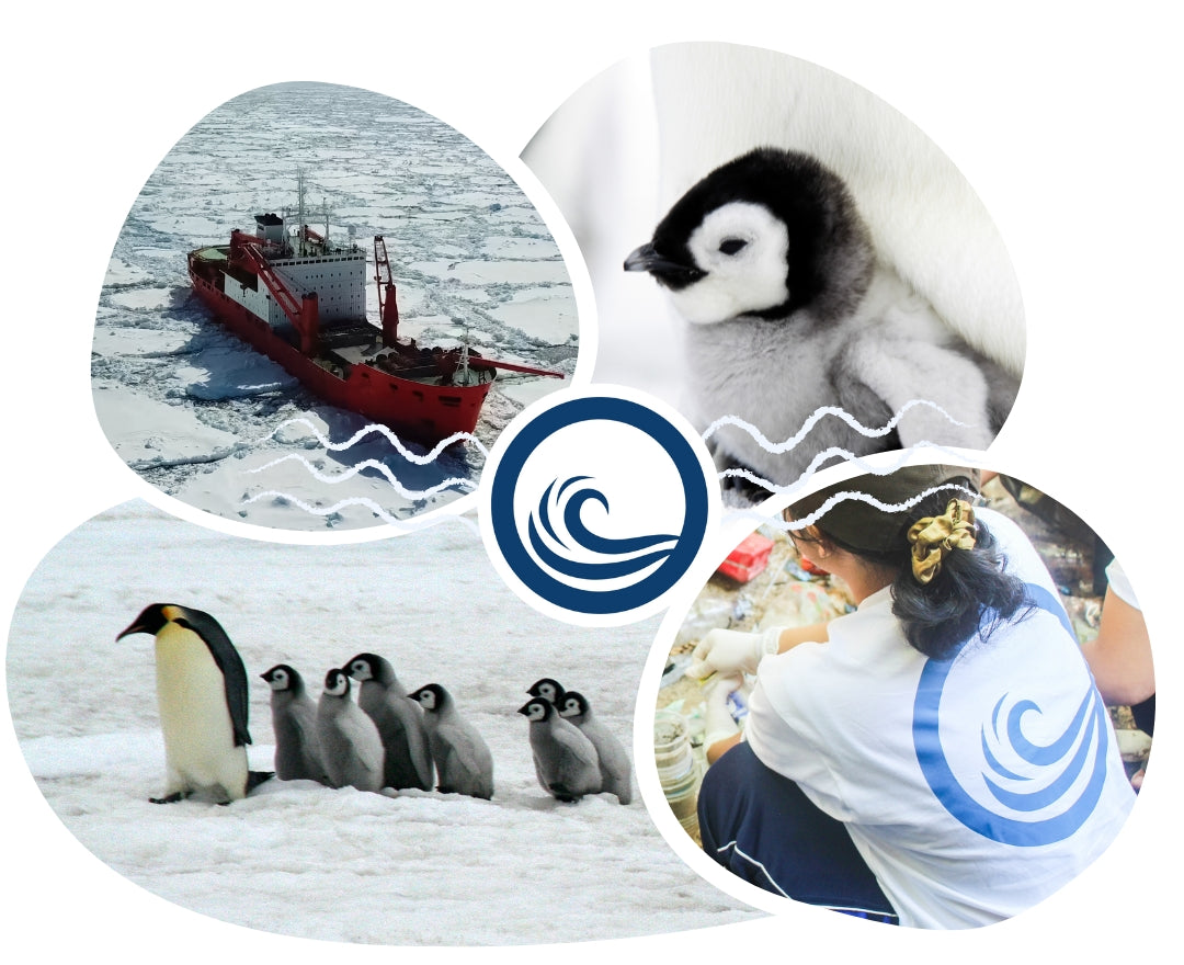 Penguin Tracking Bracelet – ClubOcean